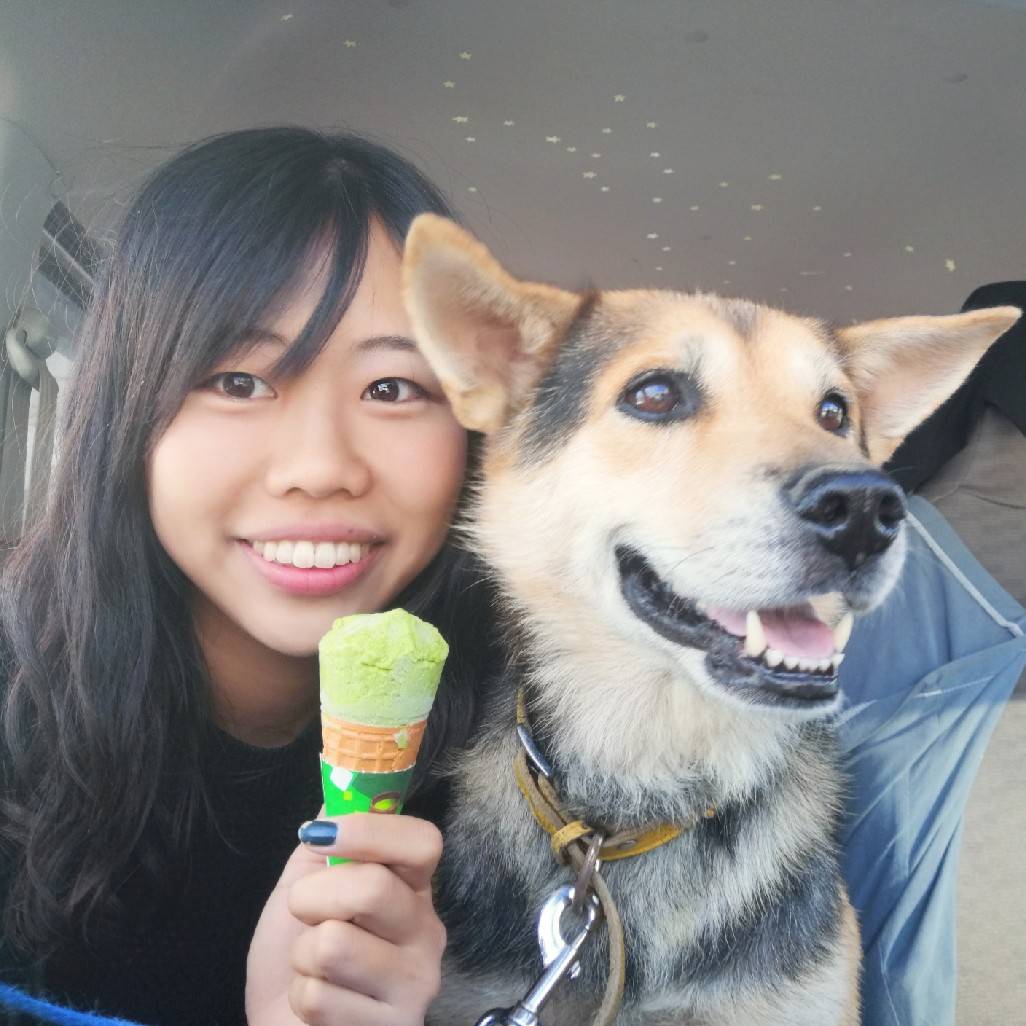 韓国式証明写真 MJ PHOTO STUDIO 体験レポ【実例有】パスポートにもオススメ！ | 旅と暮らしを楽しむ かなの自然体験記